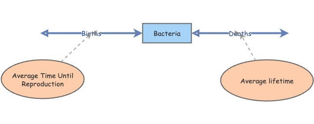 Bacteria | Insight Maker
