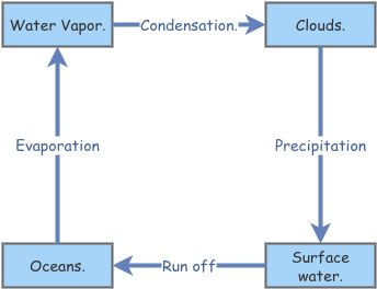 Water cycle. | Insight Maker
