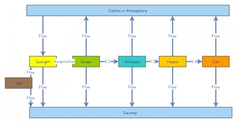 Carbon Cycle. | Insight Maker