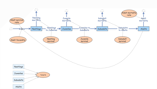Week 7 Lab Report-Matrices | Insight Maker