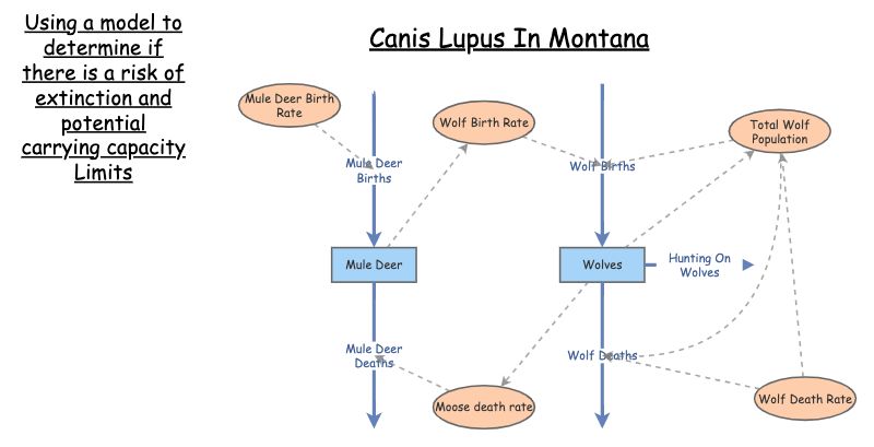 Predator Prey Interaction For Wolves and Mule Deer variation | Insight Maker