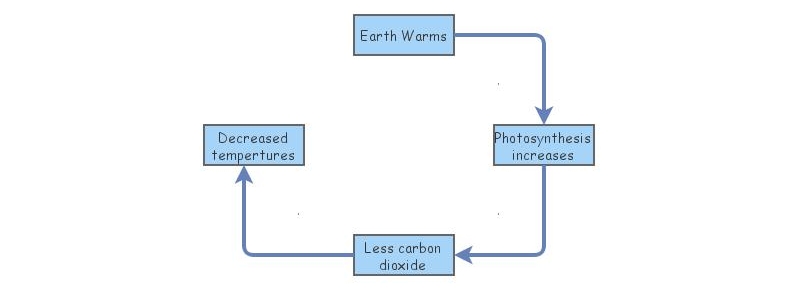Negative Feedback Loop | Insight Maker