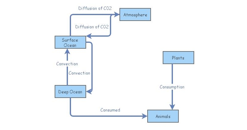 Carbon Cycle | Insight Maker