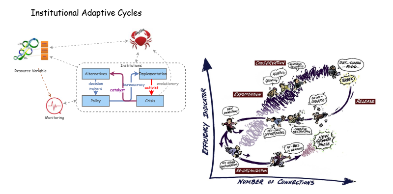 Institutional adaptive cycles | Insight Maker