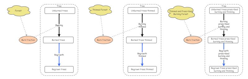 Lab 5: Modeling Fire Ecology | Insight Maker