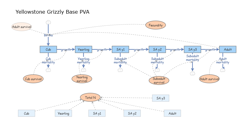 Grizzly Bear base model | Insight Maker