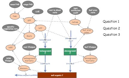 Clone of Very Simple Ecosystem Model | Insight Maker