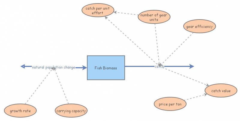 fish | Insight Maker