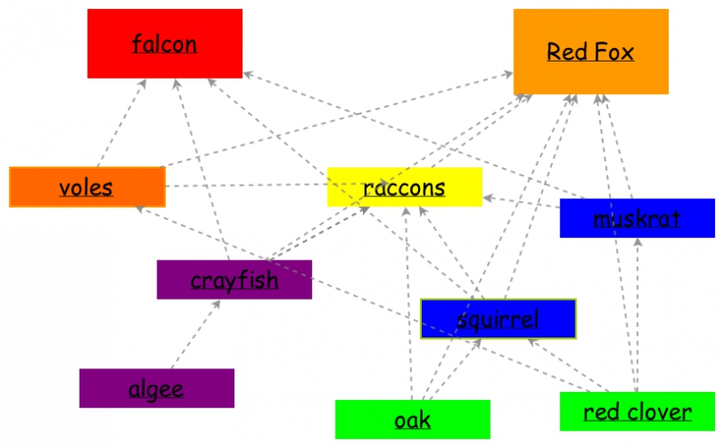 Food Web | Insight Maker