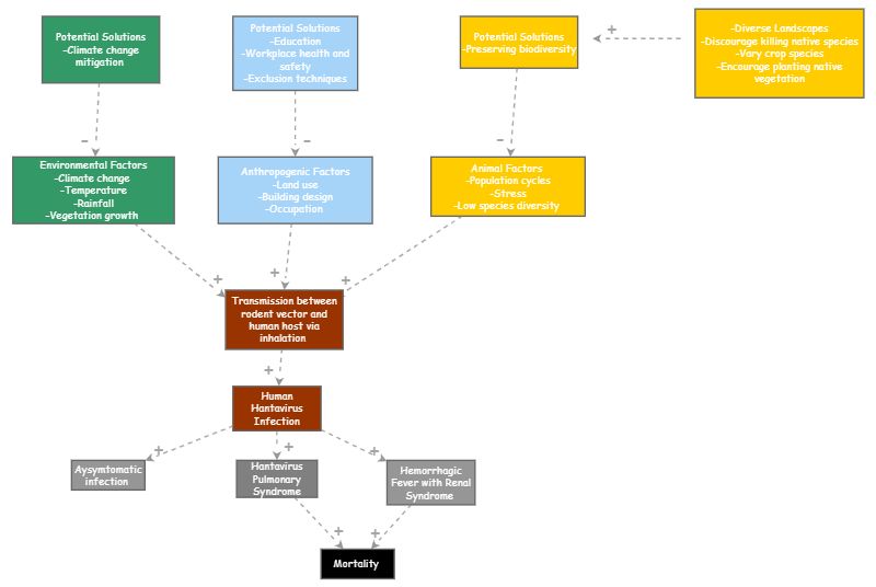Hantavirus Draft | Insight Maker