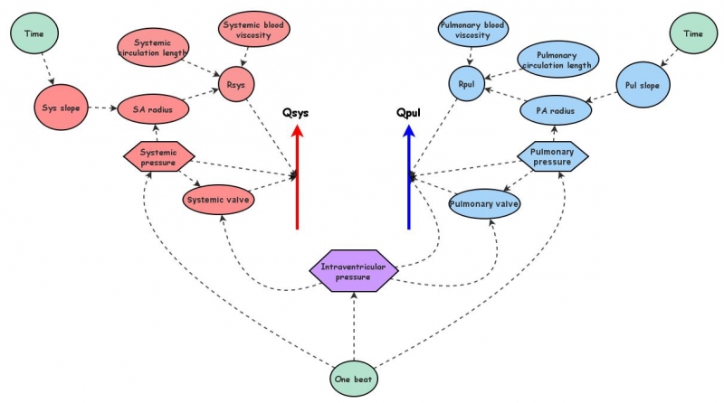 Clone of Final exam model | Insight Maker