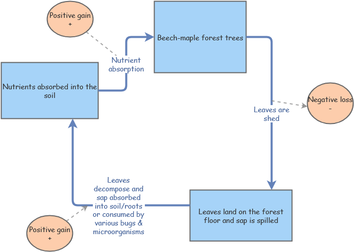 Beech-maple trees | Insight Maker