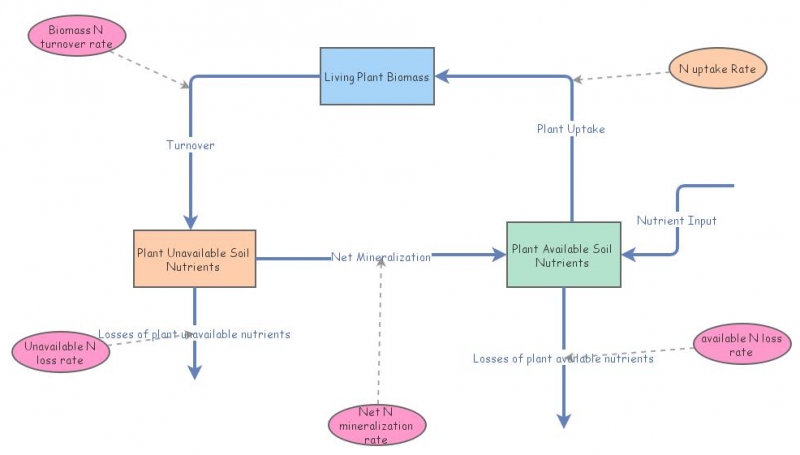 Assignment 2: Nitrogen Cycle Model: Forest Model | Insight Maker