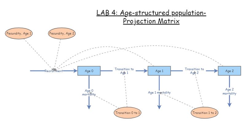 Lab 4: Exercise 2a | Insight Maker