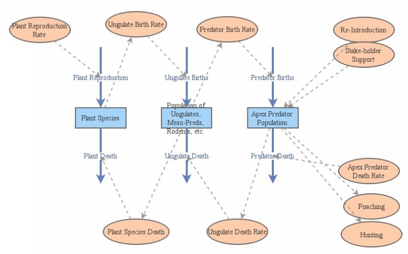 Stock & Flow (Apex Predators) | Insight Maker