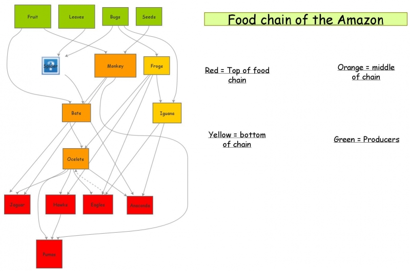 Clone of Amazon Food Web | Insight Maker