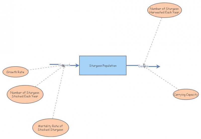 Clone of Lake Sturgeon Population Model | Insight Maker