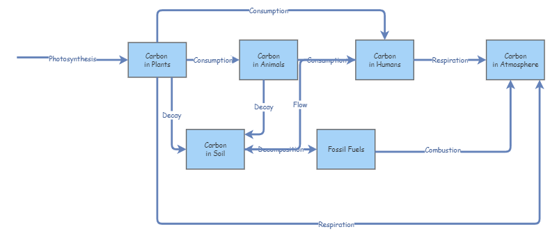 Stock and Flow - population model | Insight Maker