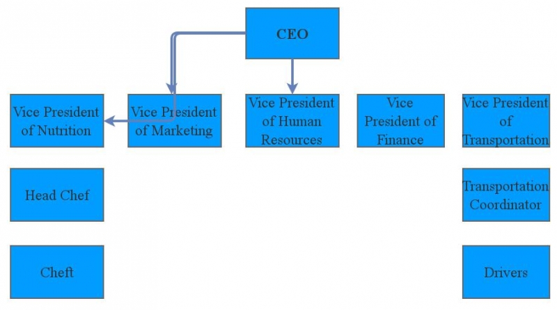 Company Organizational Chart | Insight Maker