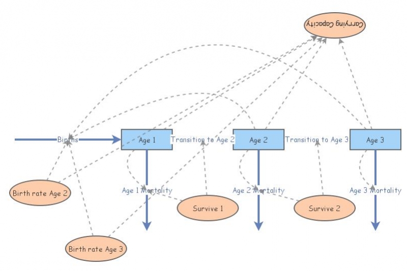 My first simulation | Insight Maker