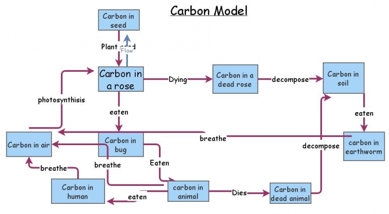 Carbon Model | Insight Maker