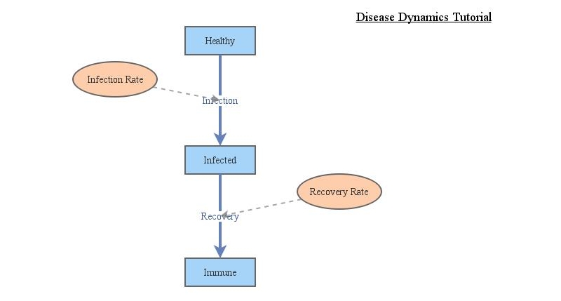 Disease Dynamics Tutorial | Insight Maker