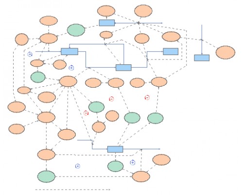 Individual Project 2nd Draft - Base | Insight Maker
