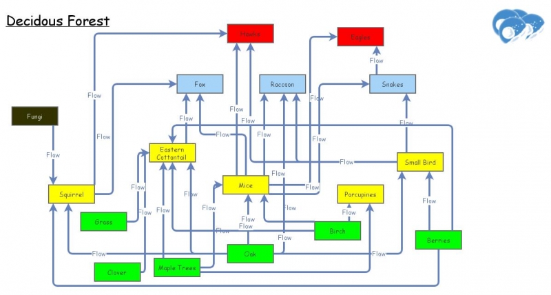 Deciduous Forest BIome | Insight Maker