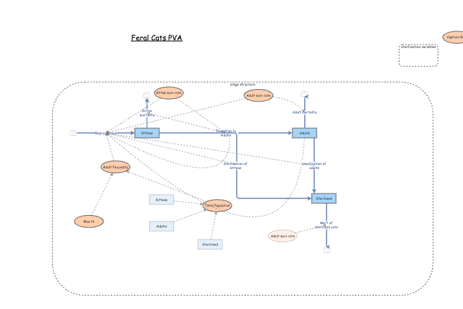 Clone of Feral Cats Final PVA | Insight Maker