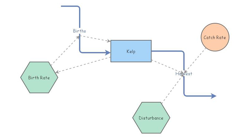 Kelp Linear | Insight Maker
