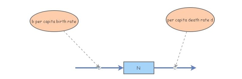 Basic exponential growth b and d | Insight Maker