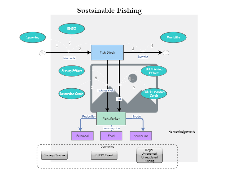 Clone of Clone of Stage 4 - Sustainable Fishing Model | Insight Maker