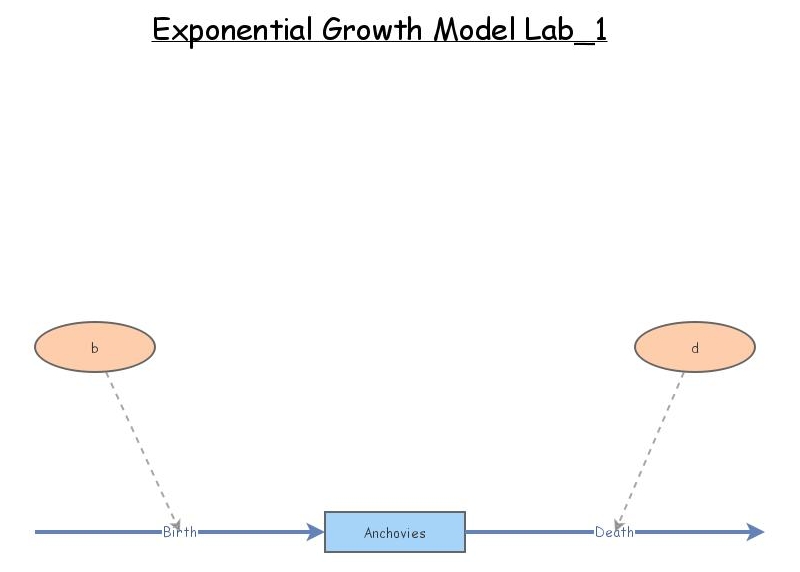 Clone of Basic Exponential Growth, b and d | Insight Maker