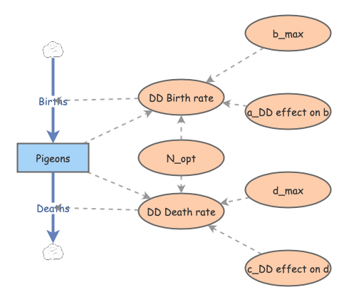 Pigeon allee effect | Insight Maker