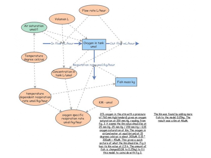 Km fitting model fish tank | Insight Maker