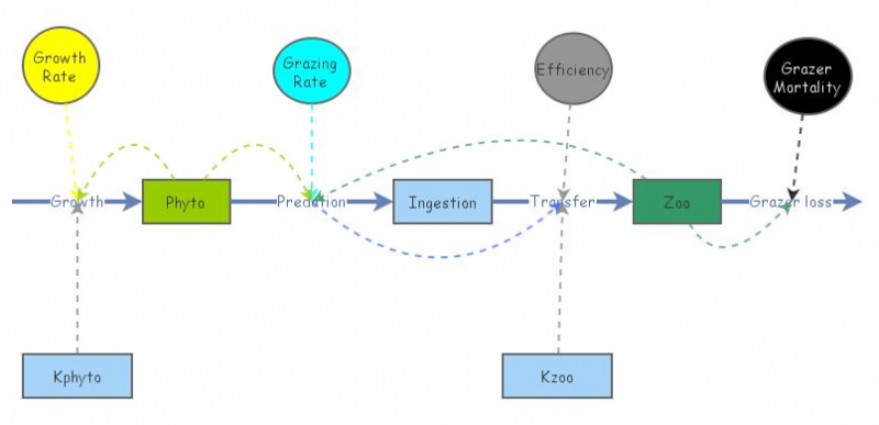 Clone of Lab 3: Phytoplankton - Zooplankton Model | Insight Maker
