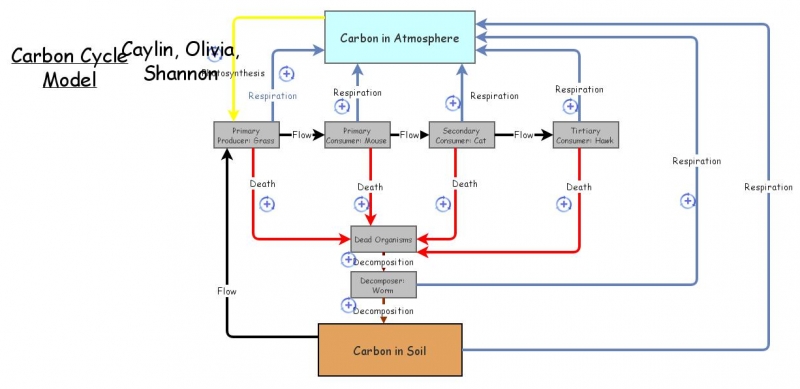 co2 flow | Insight Maker