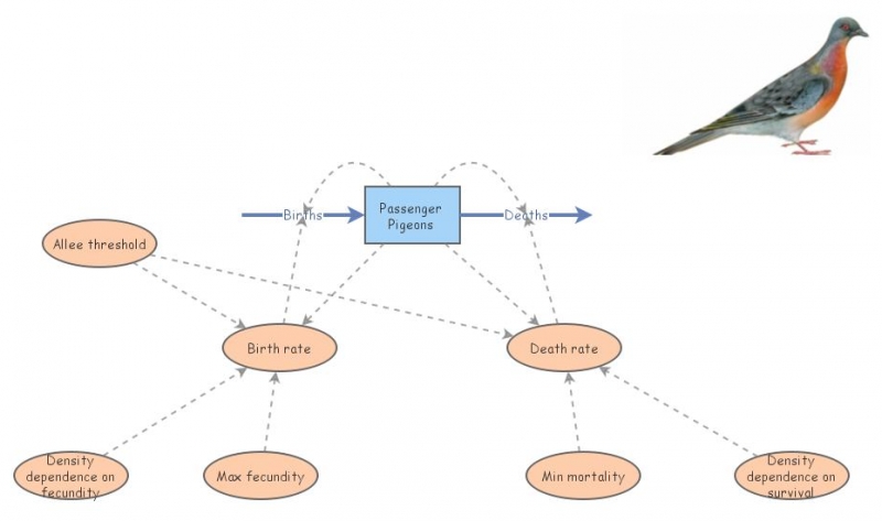 Passenger Pigeon/Allee Effect | Insight Maker