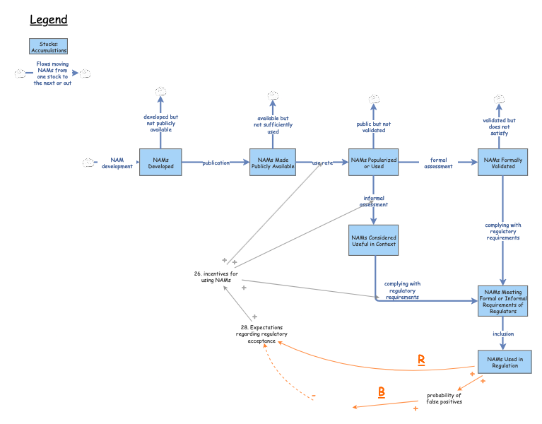 2024_12_05 backbone with selected loops | Insight Maker