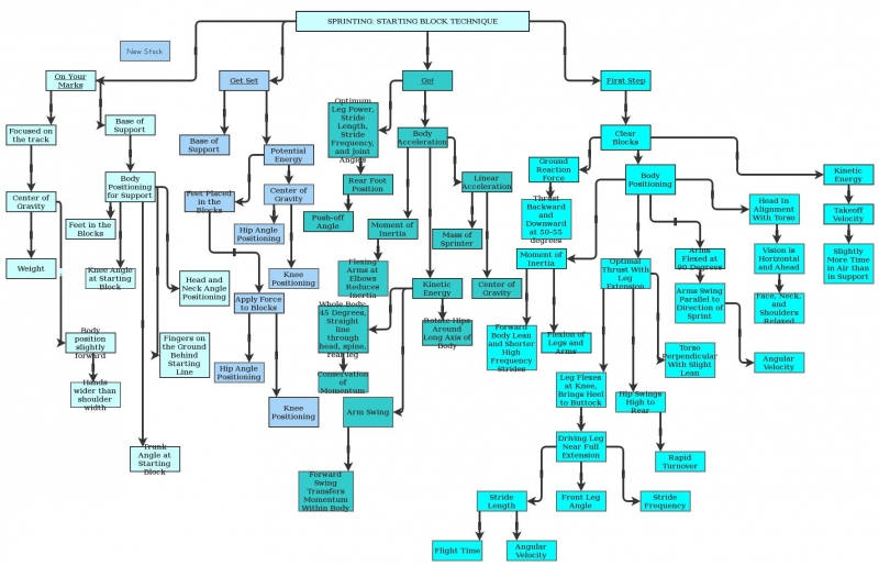 Flow Chart Biomechanics | Insight Maker