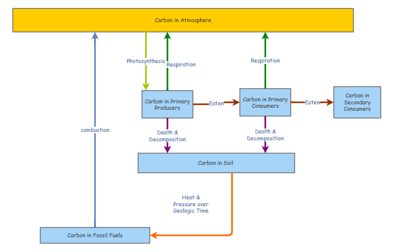 Carbon Stock Flow | Insight Maker