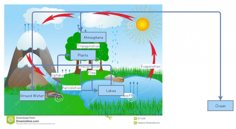 Watershed | Insight Maker