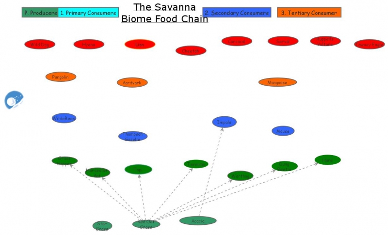 Clone of Boreal Forest Food Chain | Insight Maker