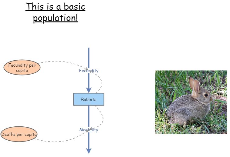 Basic population | Insight Maker