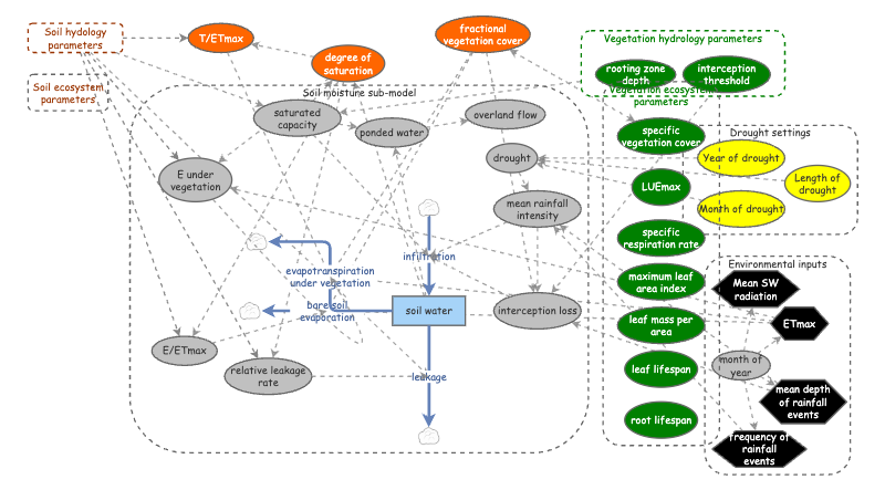 Clone of Simple Terrestrial Ecosystem Model - Soil Moisture (STEM-SM) | Insight Maker