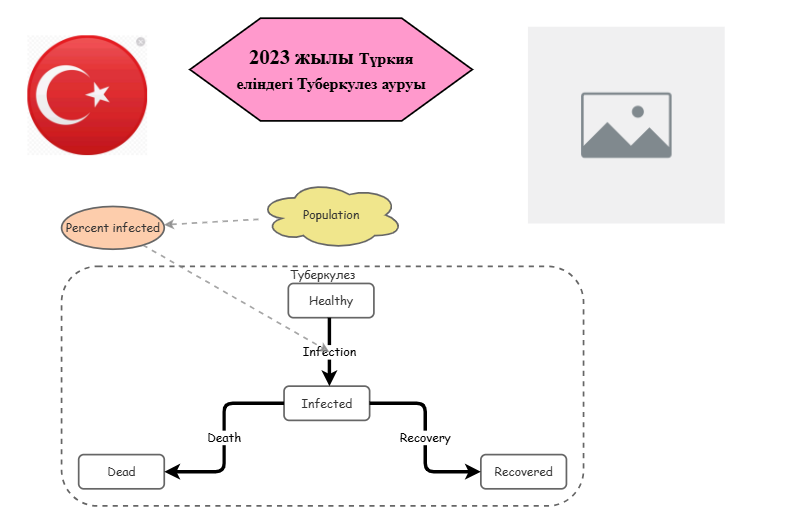 Өзіндік жұмыс 2(агенттік модельдеу) | Insight Maker