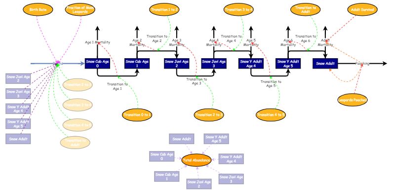 470670 Snow Leopard (Final Paper PVA Model) | Insight Maker