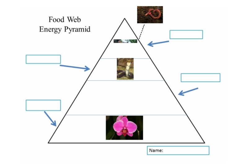 Energy Pyramid | Insight Maker