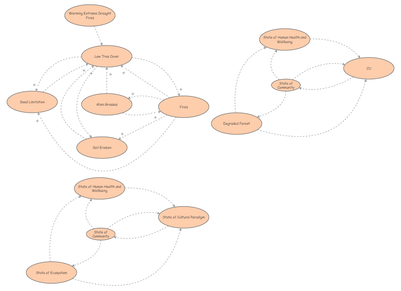 Amazon forest | Insight Maker