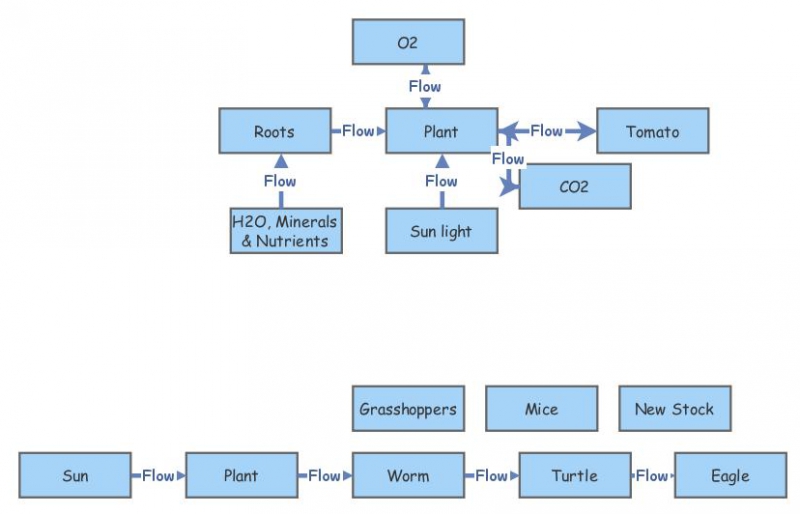 System diagram for a tomato | Insight Maker